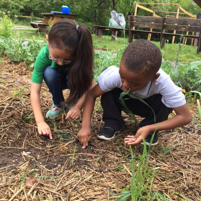 About Us - Plant the Seed