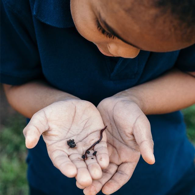 About Us - Plant the Seed