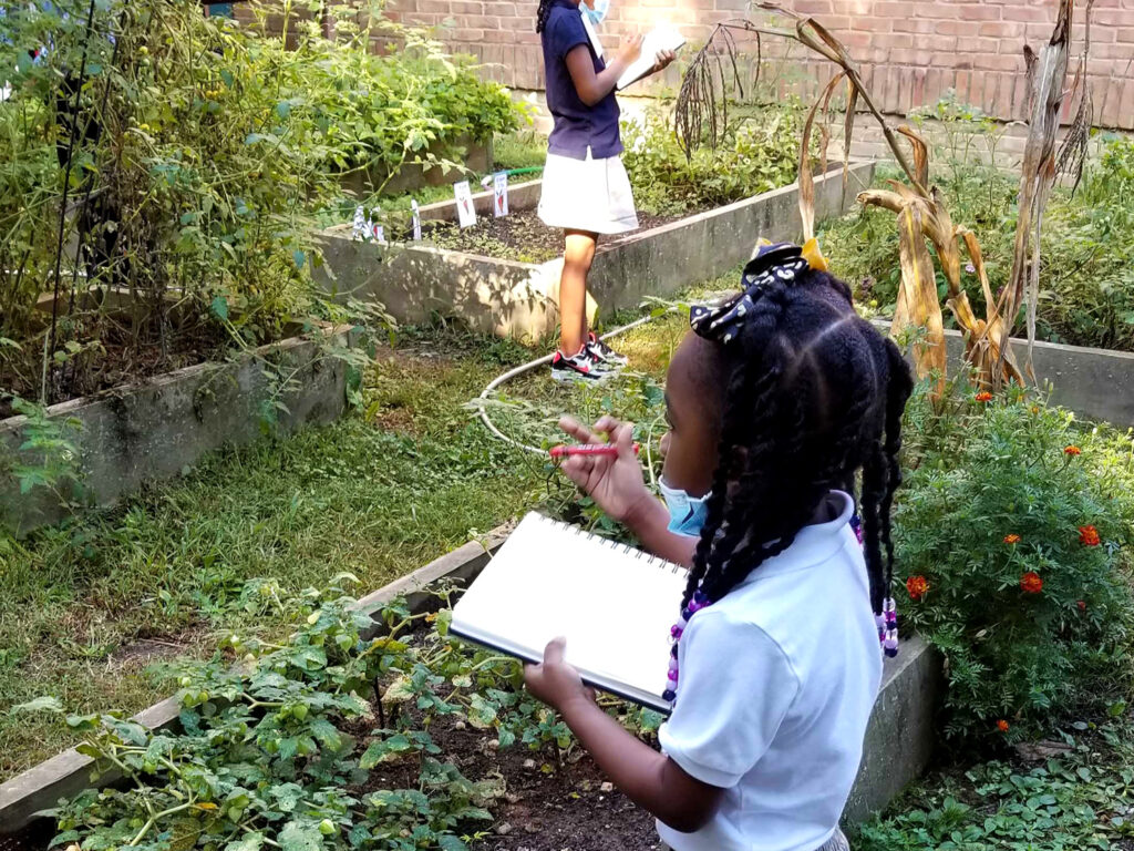 Carter-Lawrence Elementary School - Plant the Seed